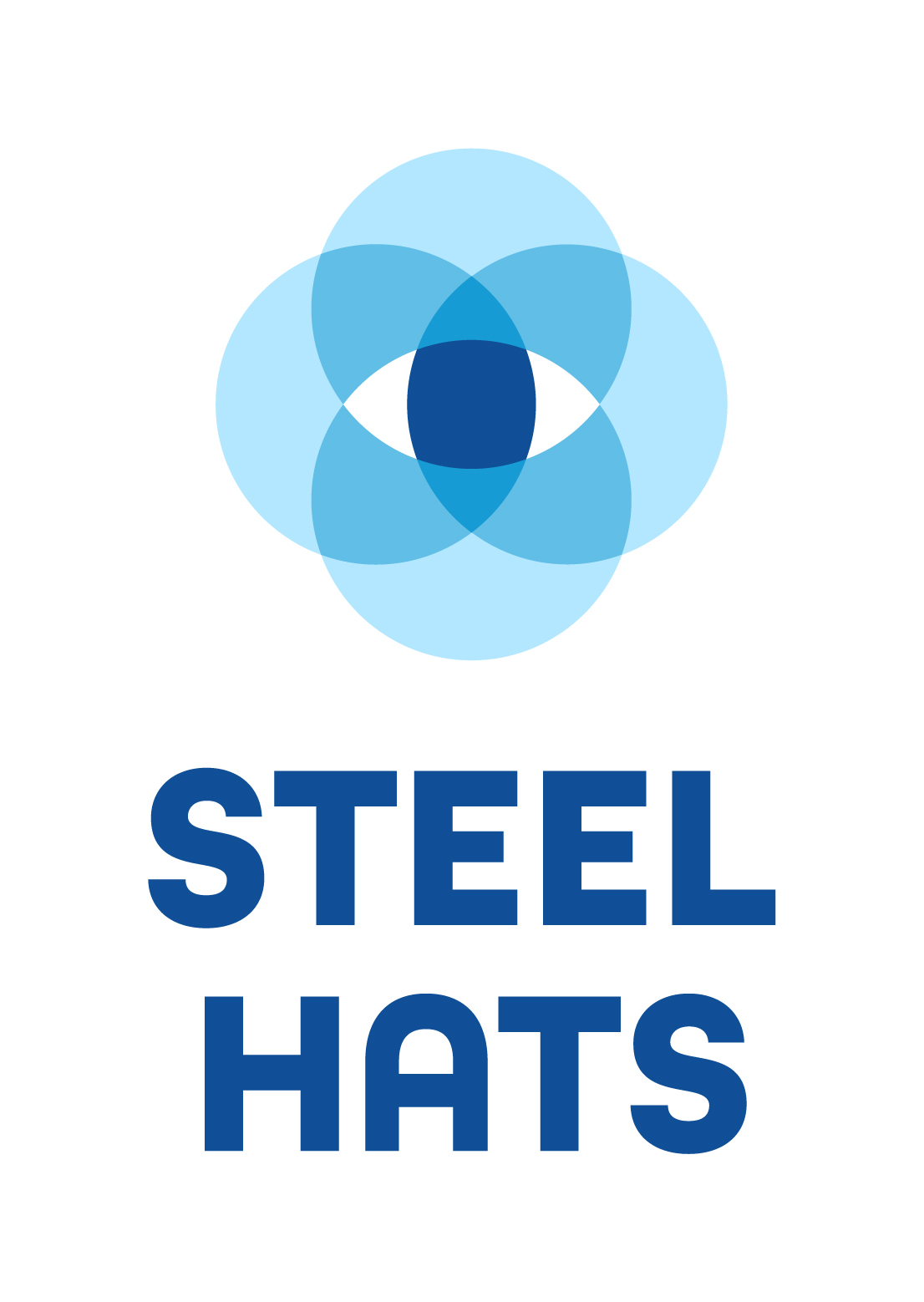 About us – Steel Hats Technology & Solutions Pvt. Ltd.